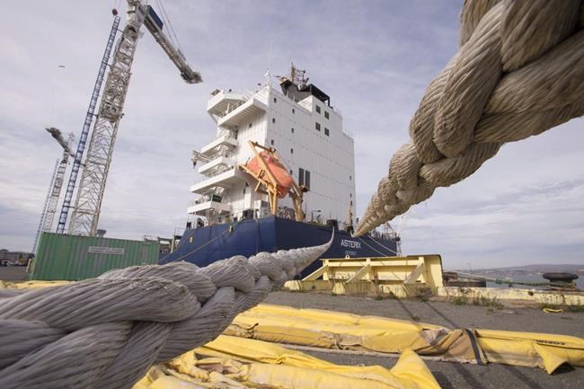 Red tape, lack of experience slowing $60B warship project: Former DND ...