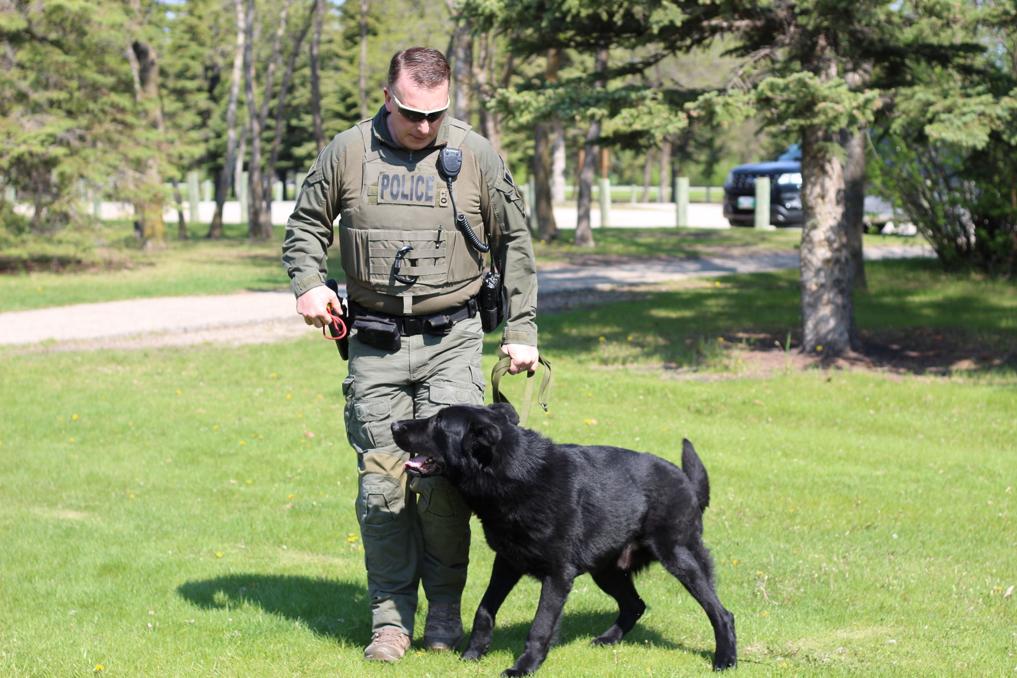 Dogged new addition bolsters RCMP services – The Carillon