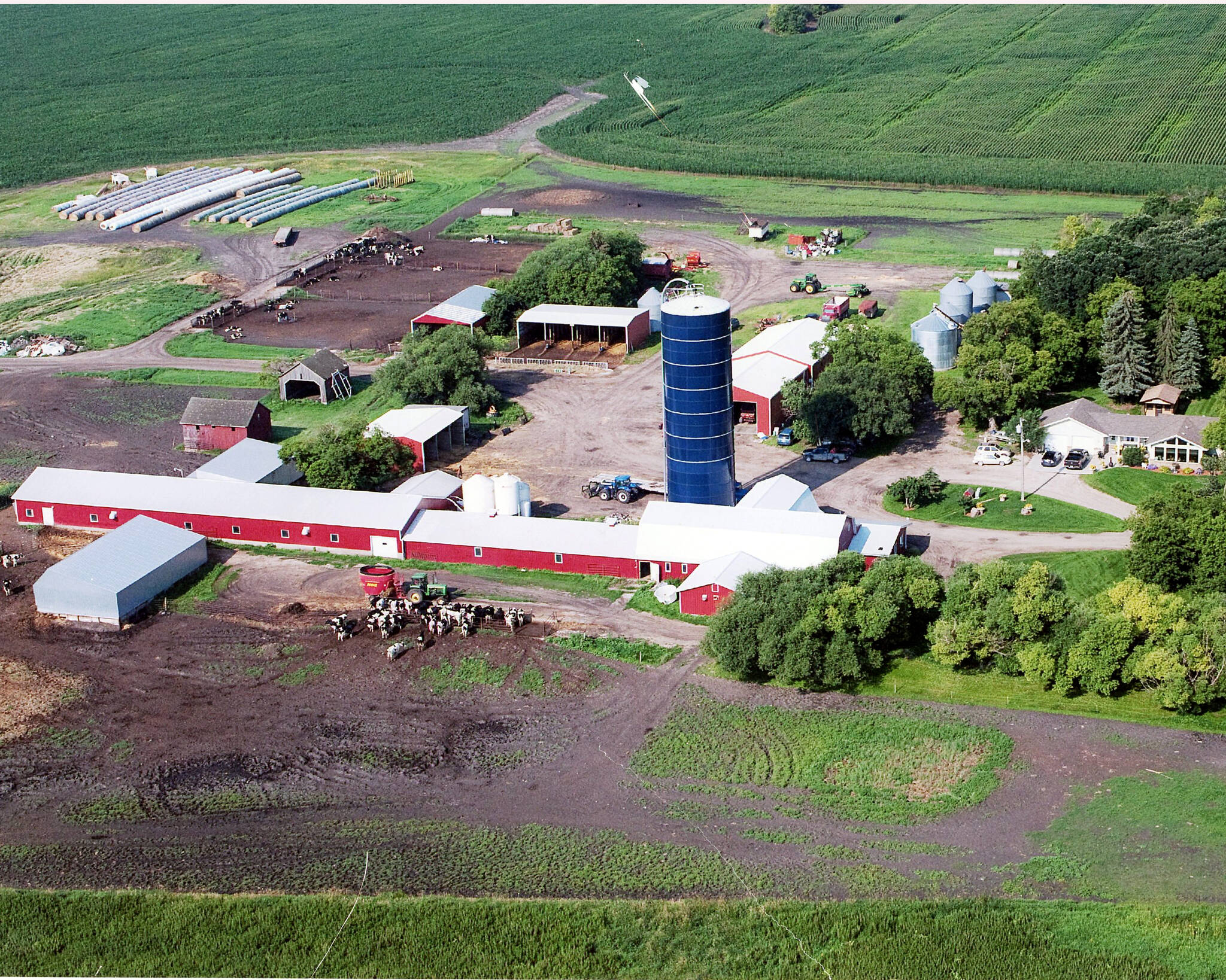 Fifth generation of Laingsstill farm at Clear Springs – The Carillon