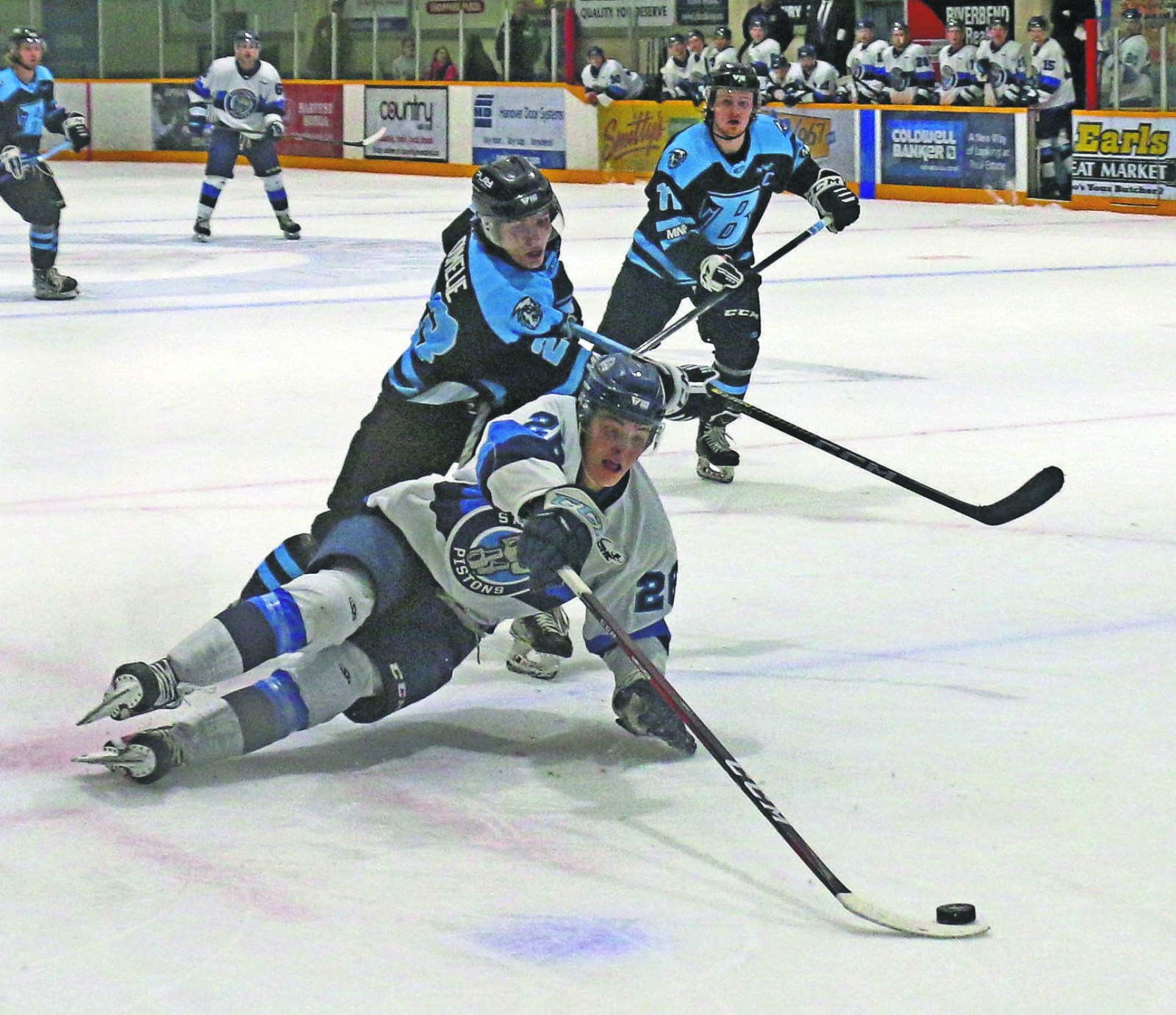 Ty Paisley back in Steinbach Pistons colours – The Carillon