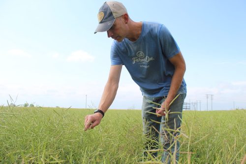 The Carillon – Breaking News, Sports, Manitoba, Canada